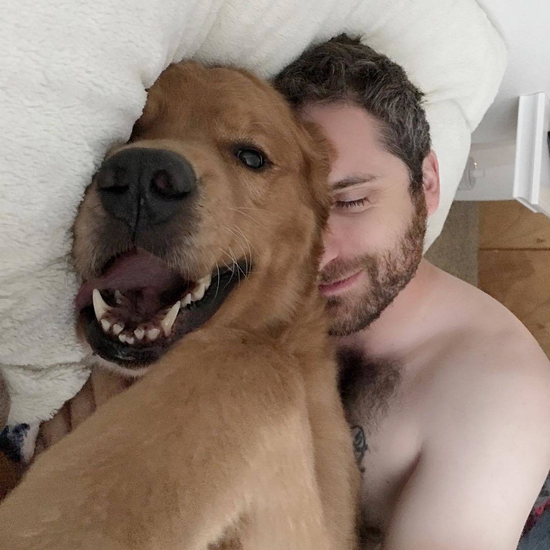 el perro que se deja caer sobre su dueño