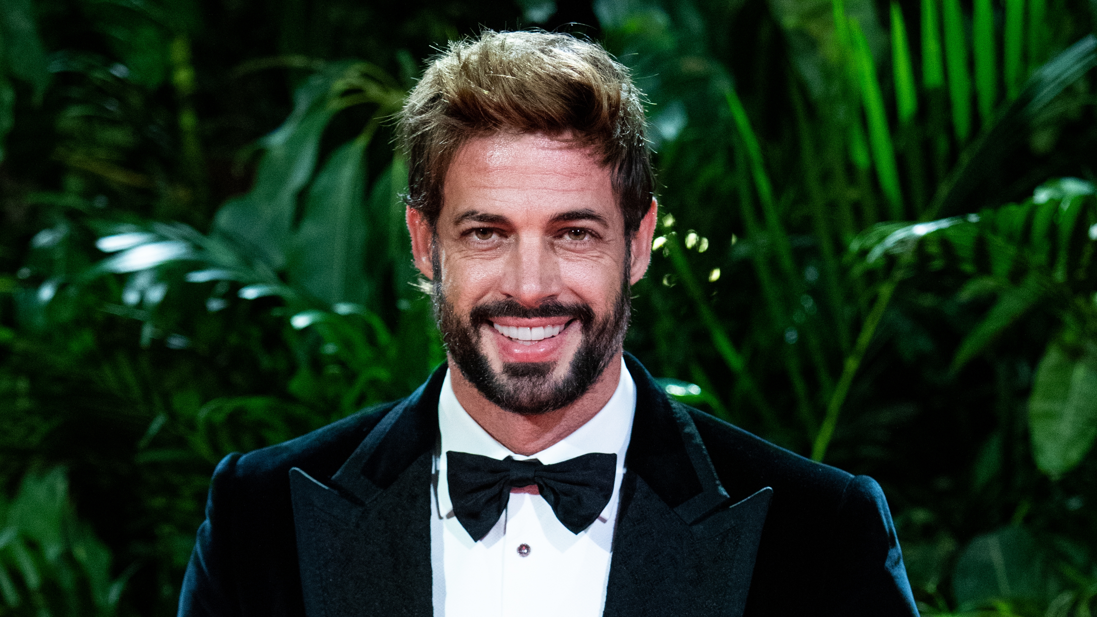 William Levy regresará a la televisión tras su arresto, estas serán las ...