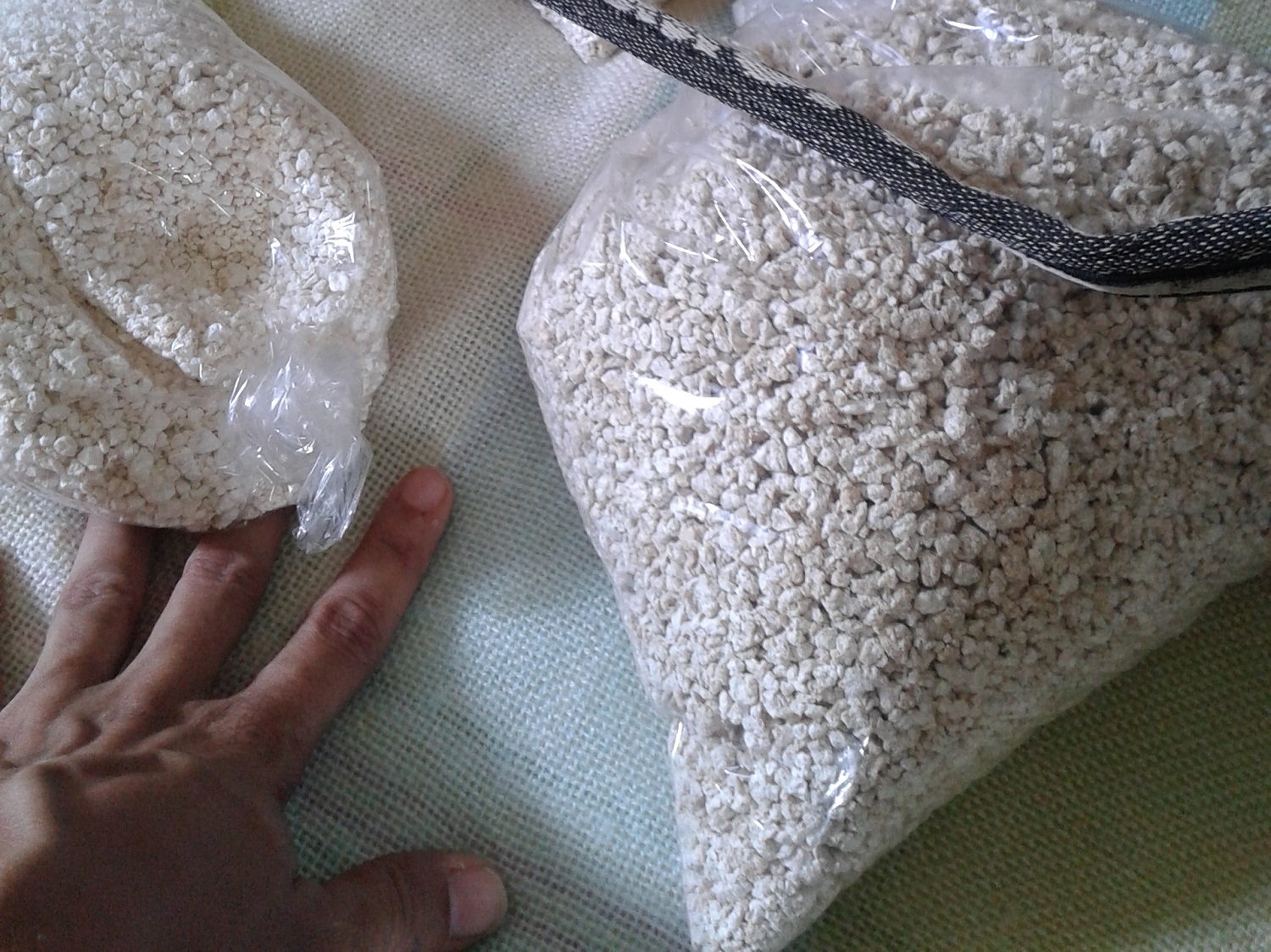 ¿Qué tan cerca está el Caquetá de acabar con la hoja coca? - Semana