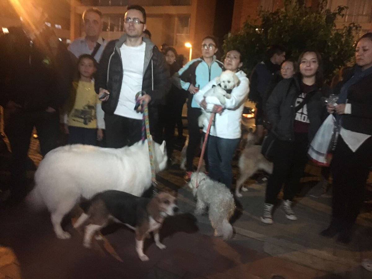 hombre entro a patadas a su perro - Semana