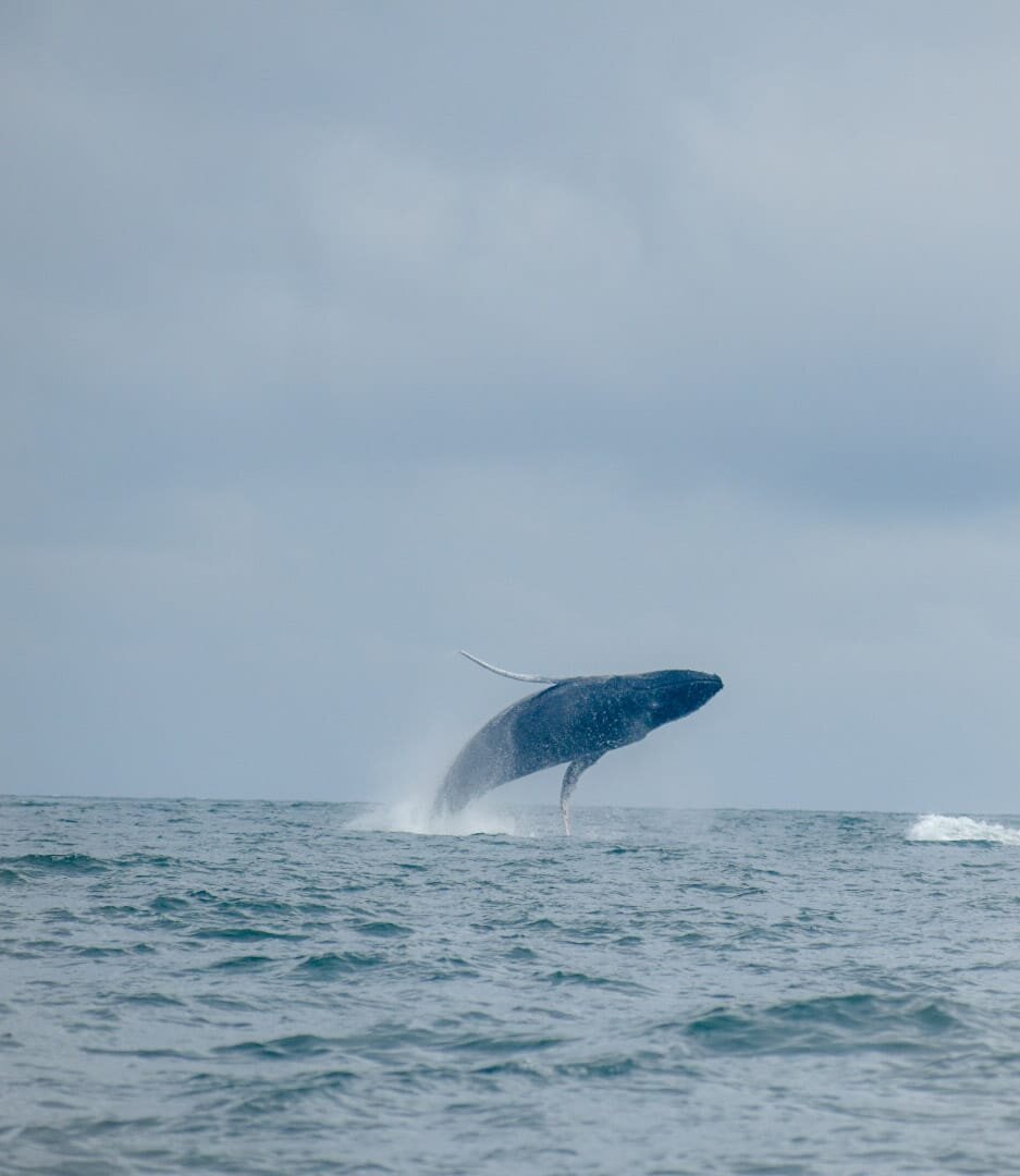 Lugares turísticos para viajar post-cuarentena - Semana