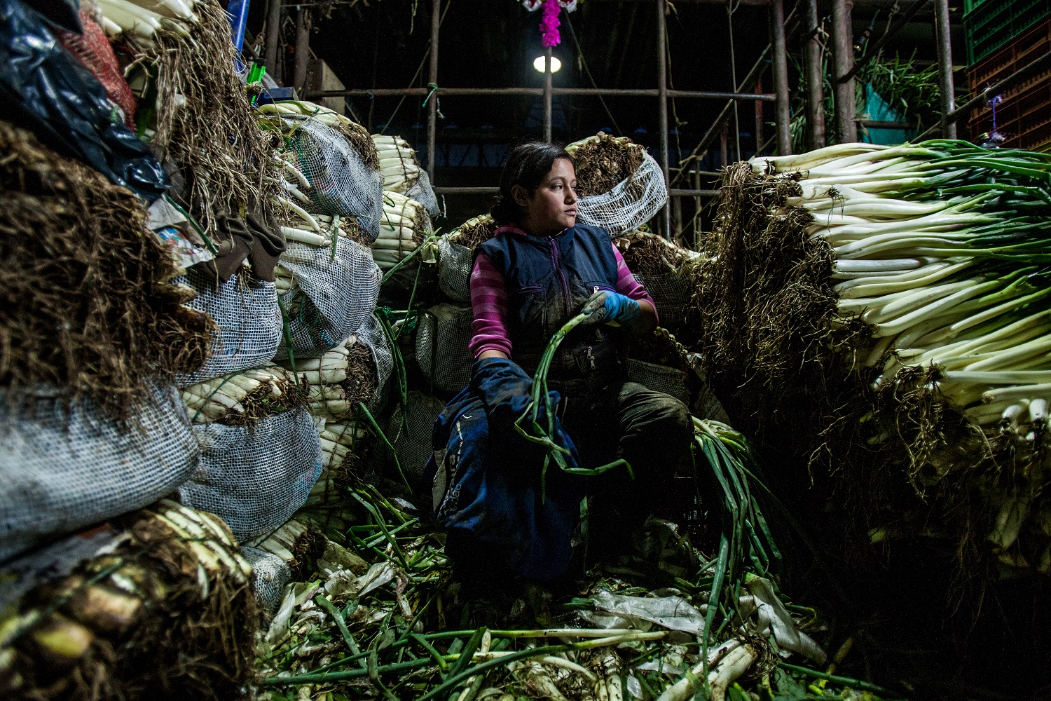 Corabastos: la microcolombia de 420.000 metros cuadrados