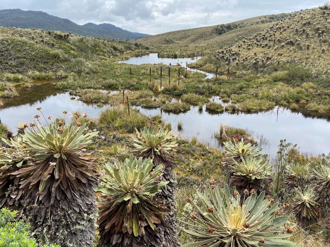 Día del río Bogotá: ¿Por qué salvar a este importante afluente?
