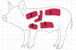 Partes de la res, el cerdo y el pollo - Semana