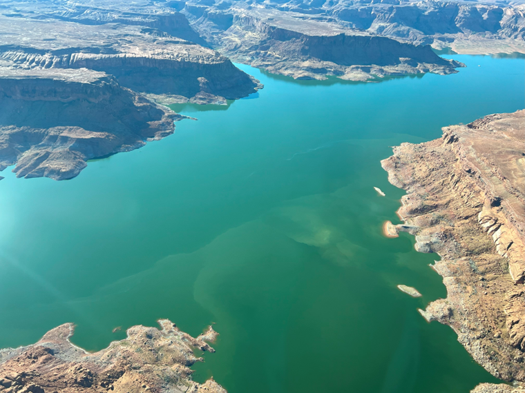 Algal Bloom Lake