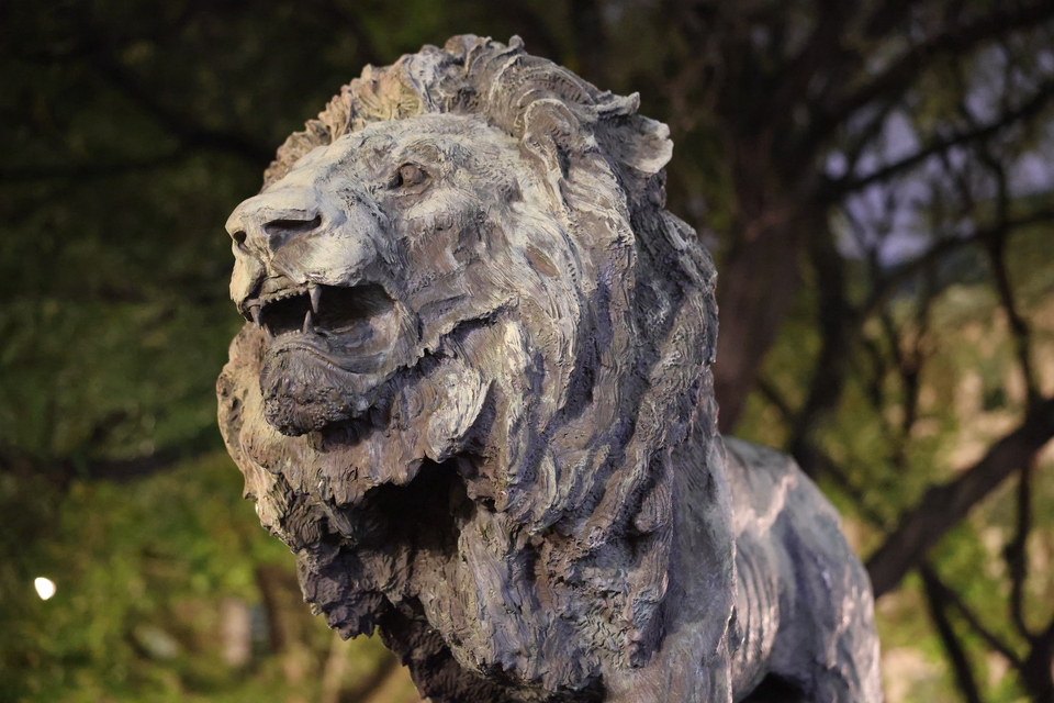 Behind the mask and mane: The controversial past of Columbia’s lion mascot