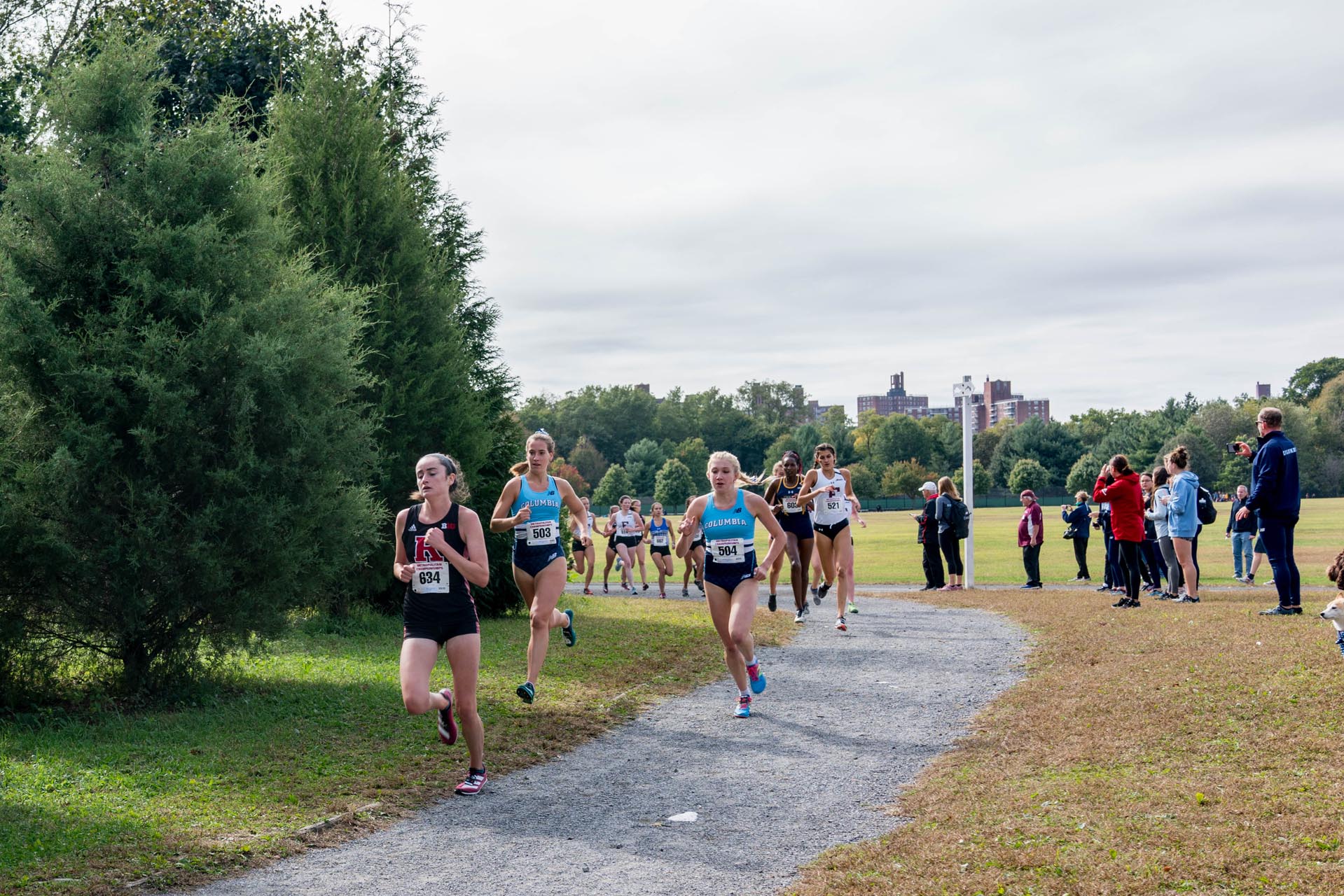 Cross country collects four All-Ivy honors at Ivy League Heps, finishes ...
