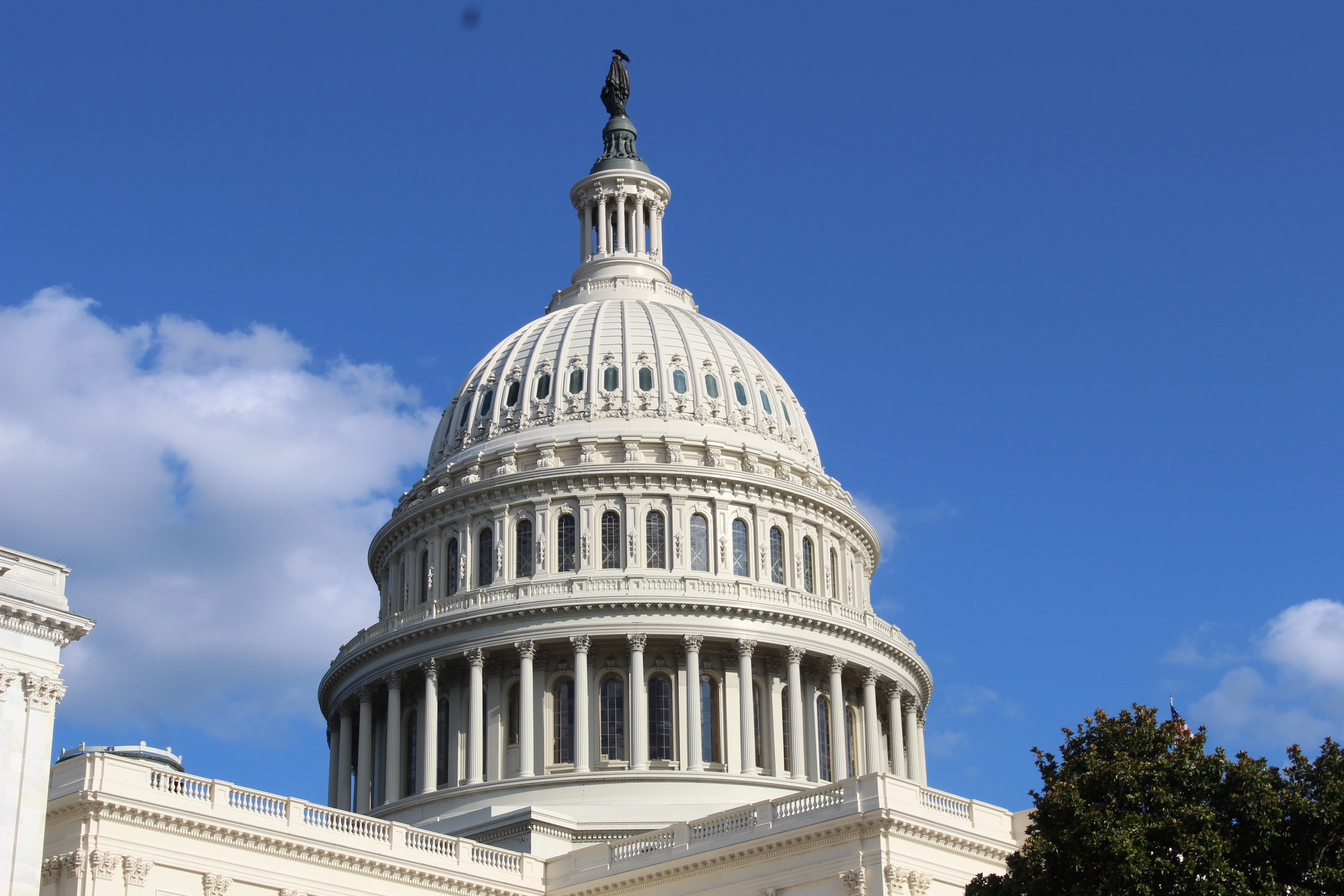 Shipman to discuss caps on research indirect costs on Capitol Hill amid ...