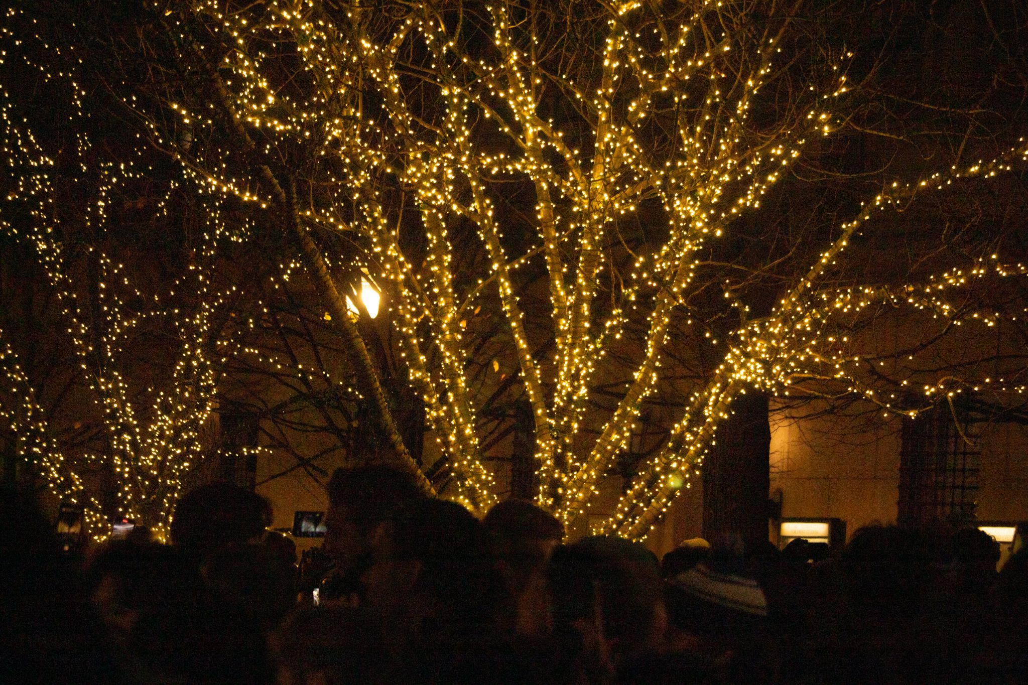 Performances canceled for annual Tree Lighting celebration due to gale ...