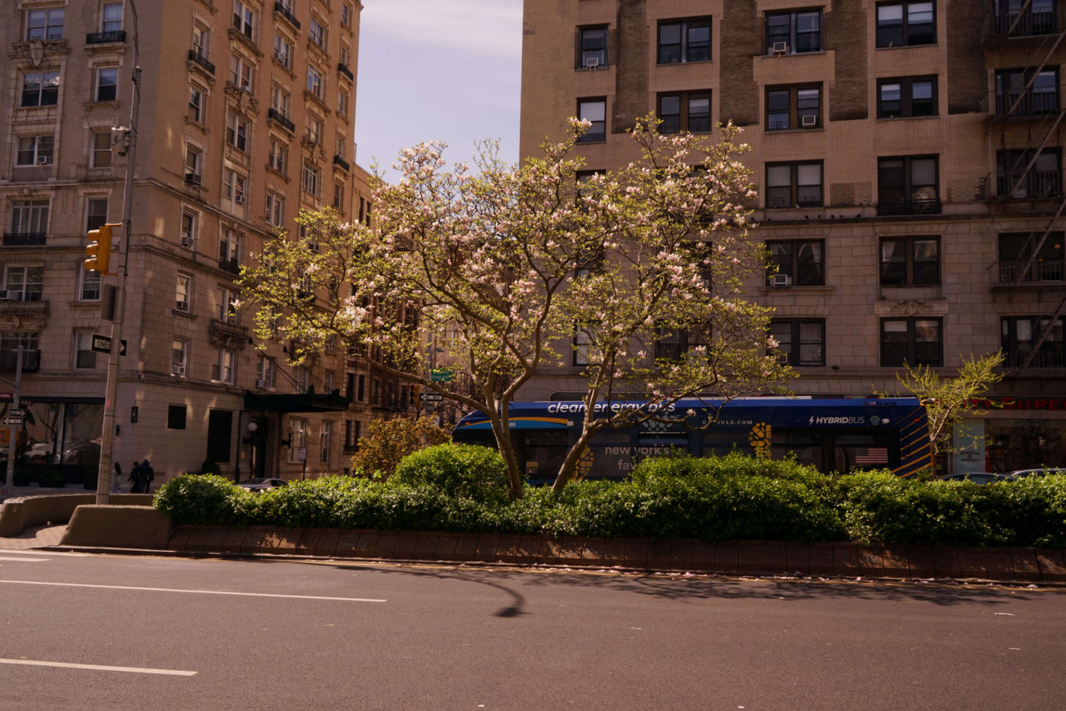 Exploring New York City: Places to visit in the spring - Columbia Spectator