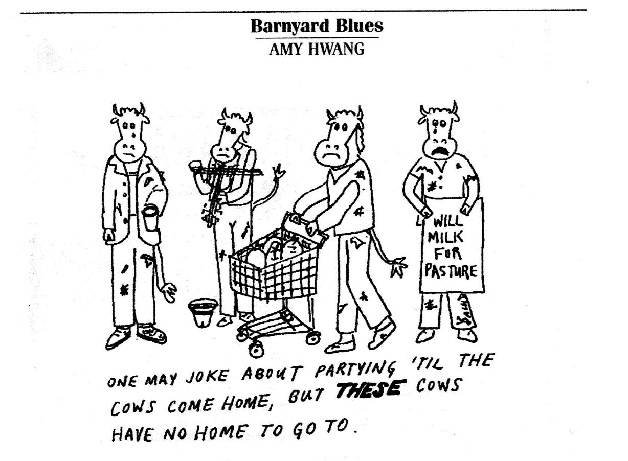 Amy Hwang, BC ’00, on cartoons, architecture, and humor