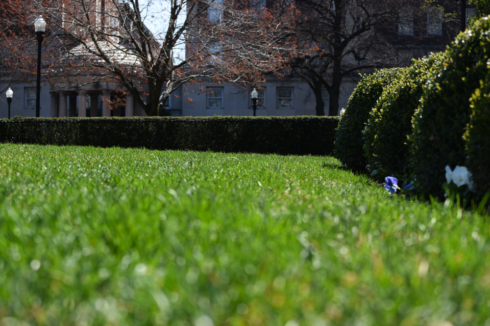 10 spots on campus to visit during the spring - Columbia Spectator