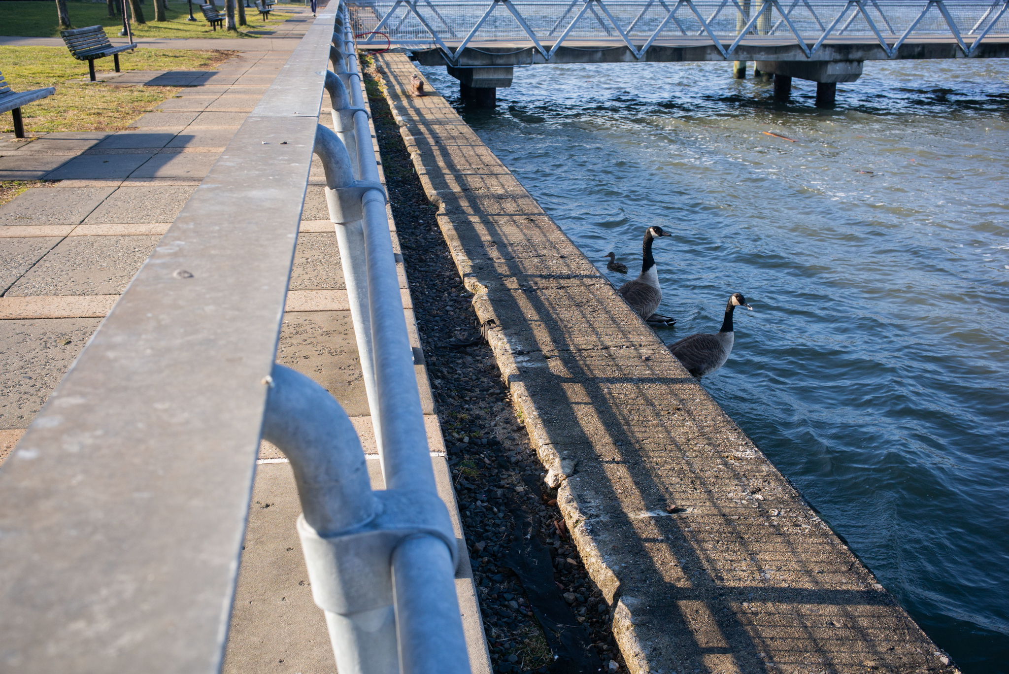 Proposed Harlem Rocket Boat Tour set to begin in June 2024 as community ...