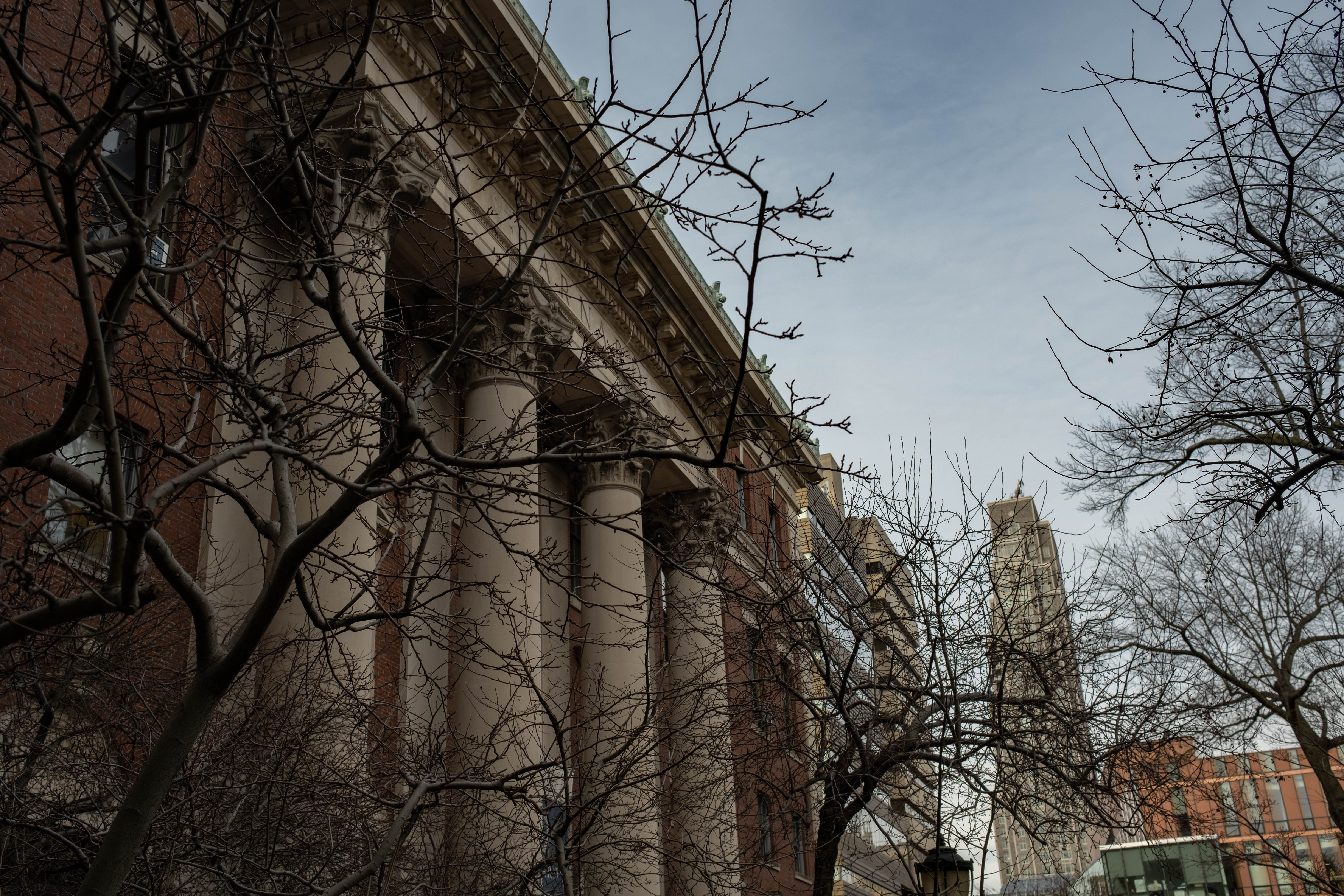 Barnard’s long-term debt climbs to $274 million amid drop in operating ...