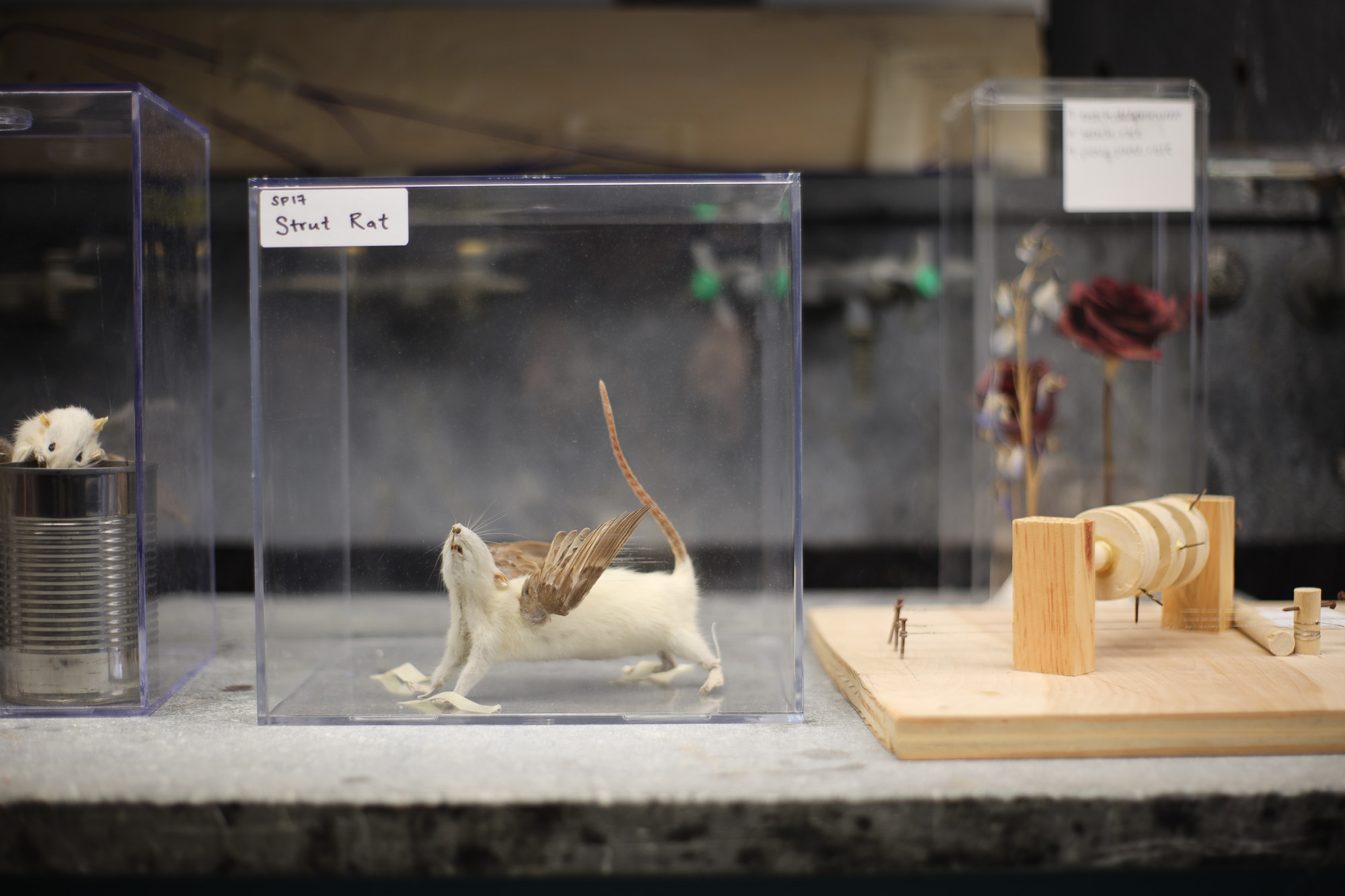 History professor Pamela Smith’s Making and Knowing Project uses craft ...