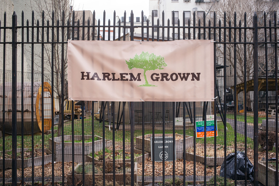 New Harlem Grown afterschool curriculum roots students in farming and ...