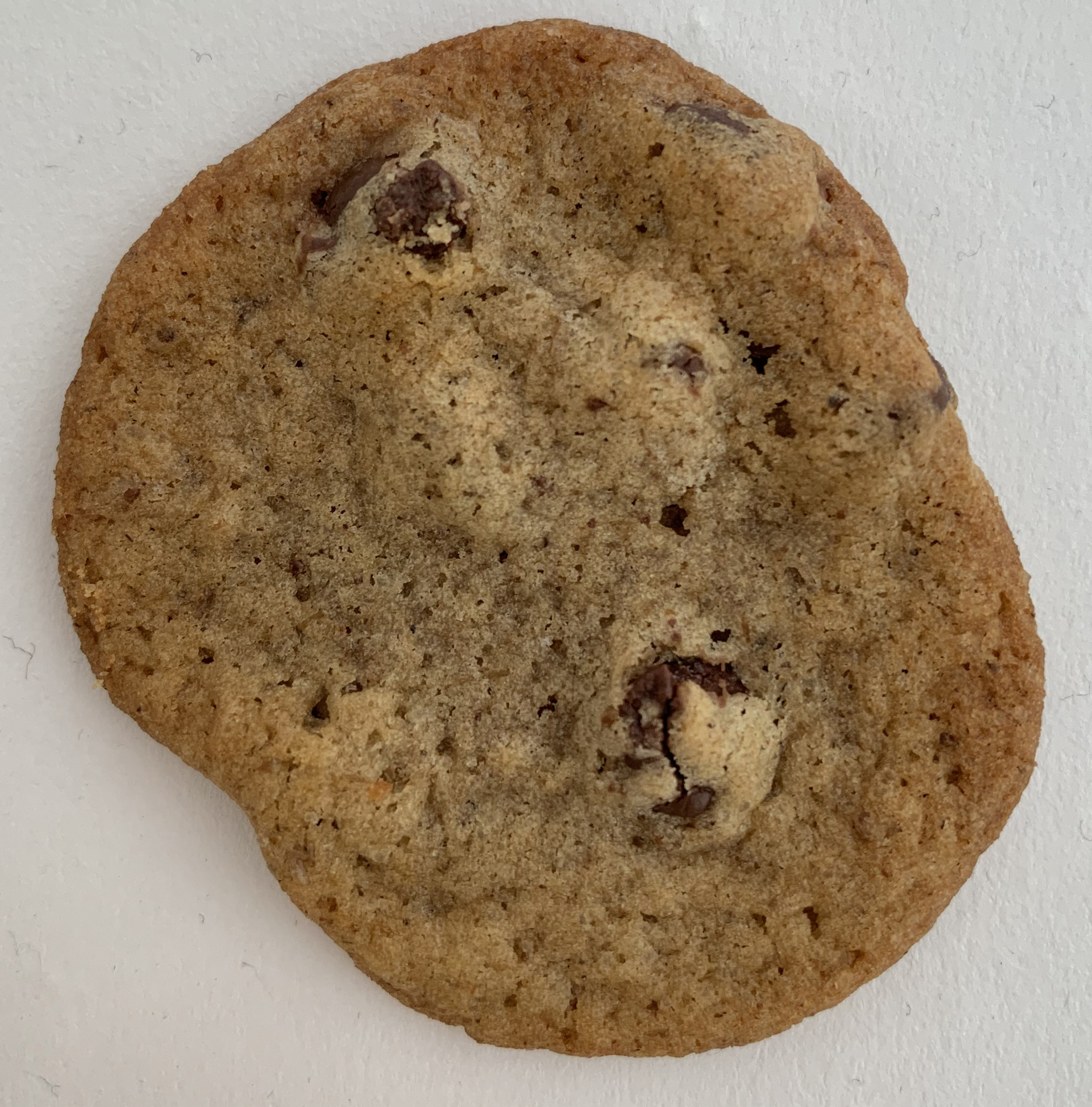 Chocolate-Chip Cricket Cookies