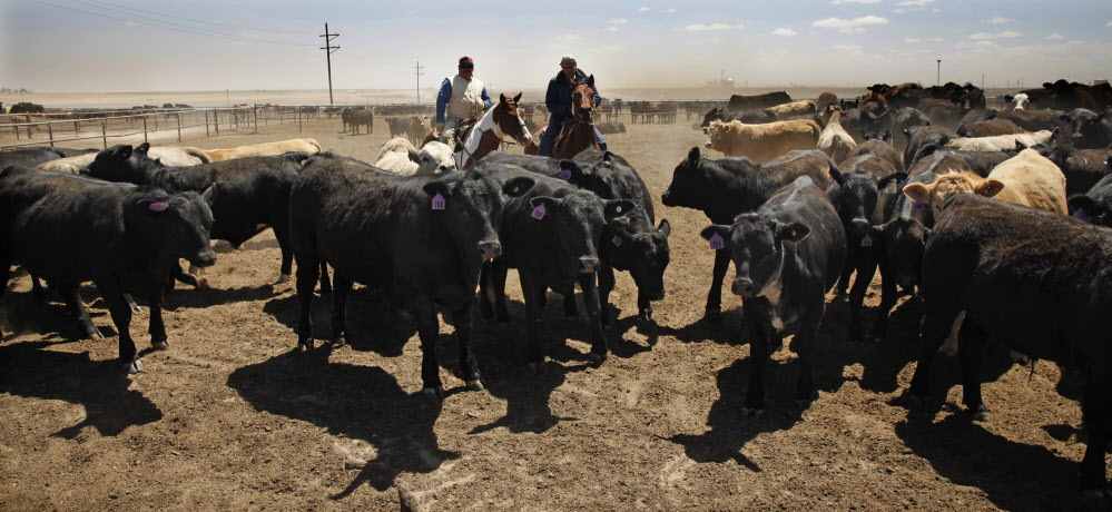 Cargill sells its giant feedlots in Texas