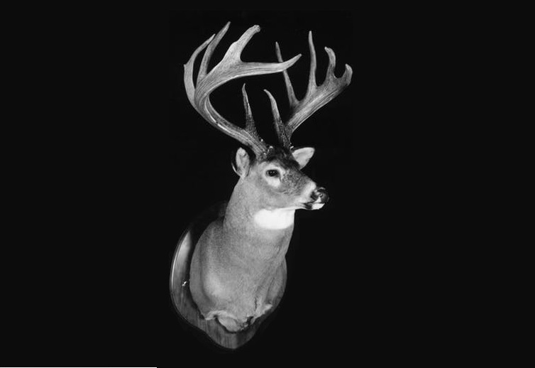 A wild, weird deer tale figures in Minnesota's opener