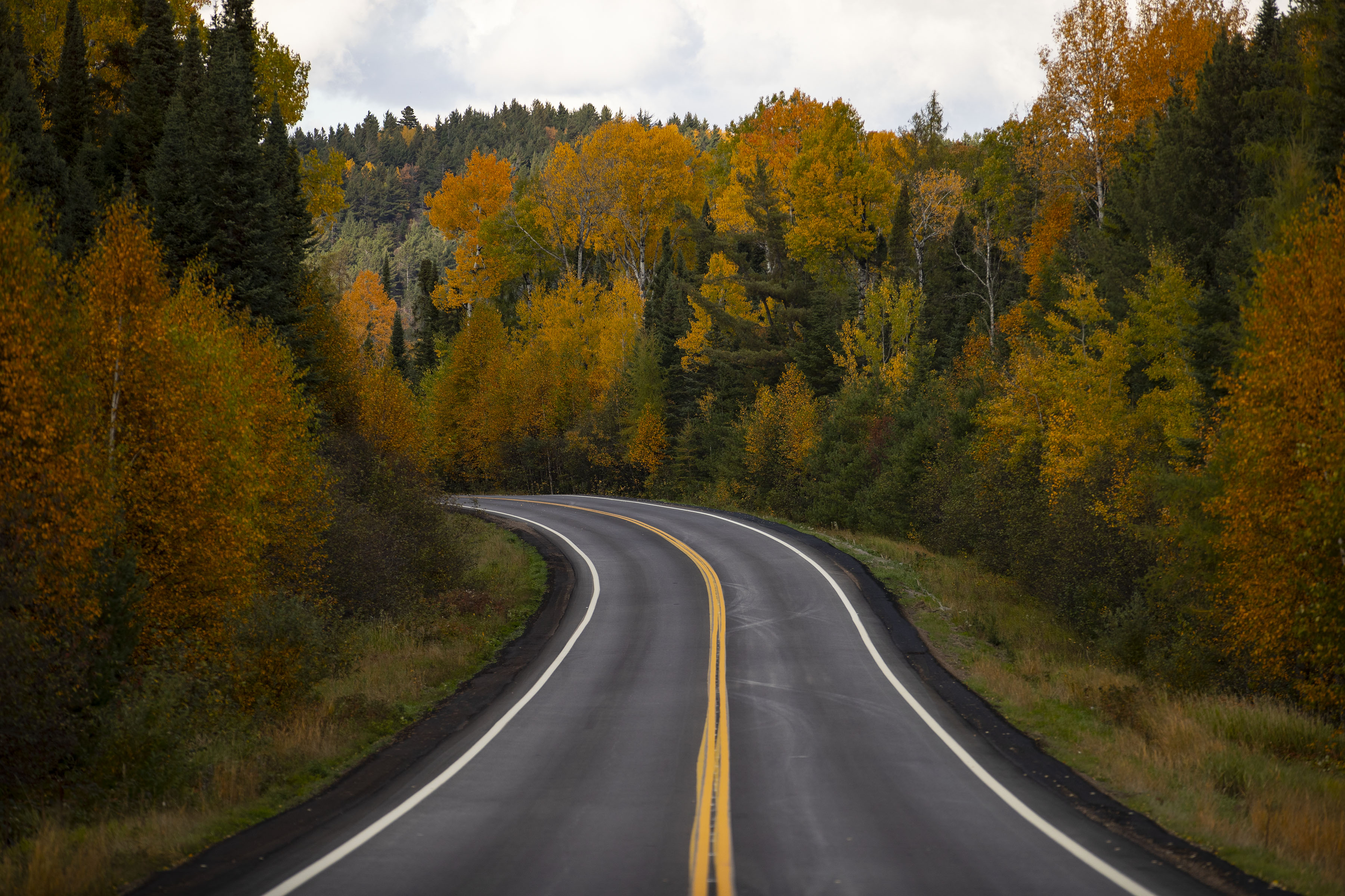 New tower to bring cell service to Northern Minnesota's Gunflint Trail ...
