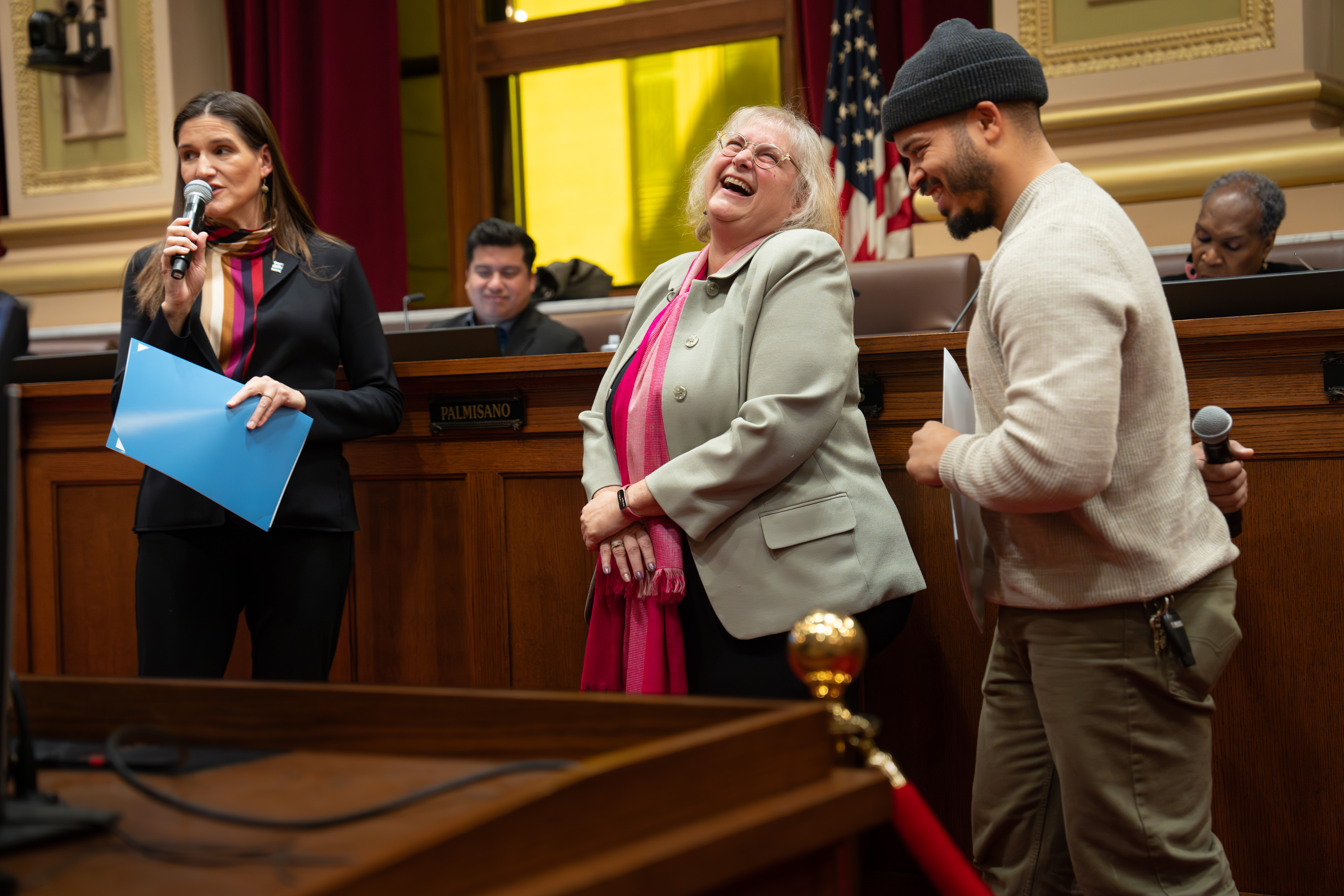 Lisa Goodman leaves the Minneapolis City Council after record-setting ...