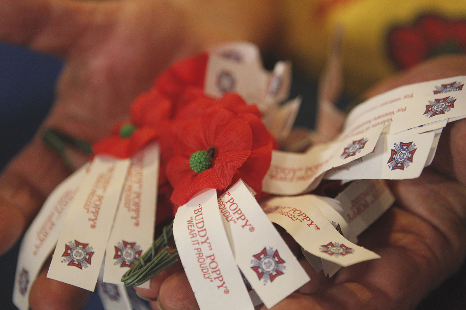 Poppy is a powerful sign of support