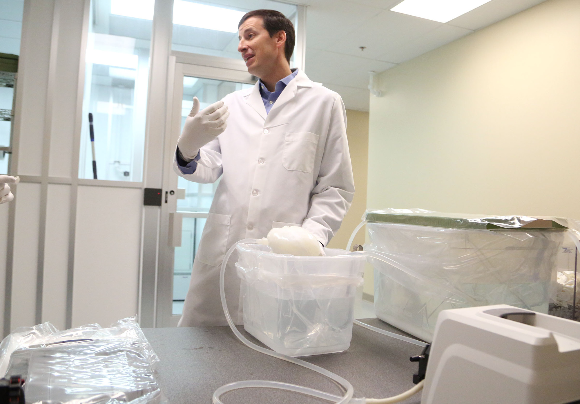 Miromatrix spins out a company, steps up focus on bioengineered organs ...