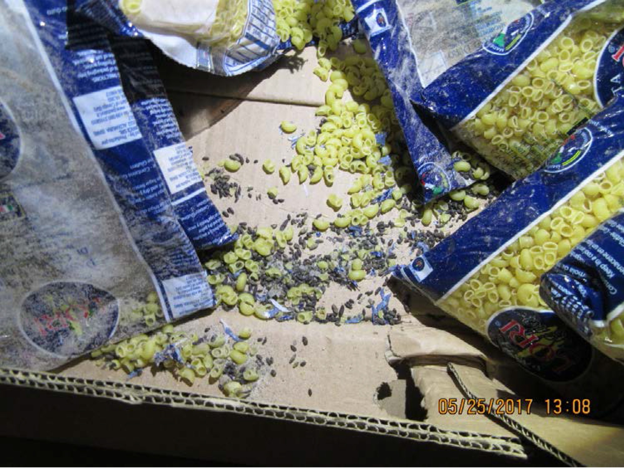 Feds seize food from St. Paul warehouse infested with dead rodents ...