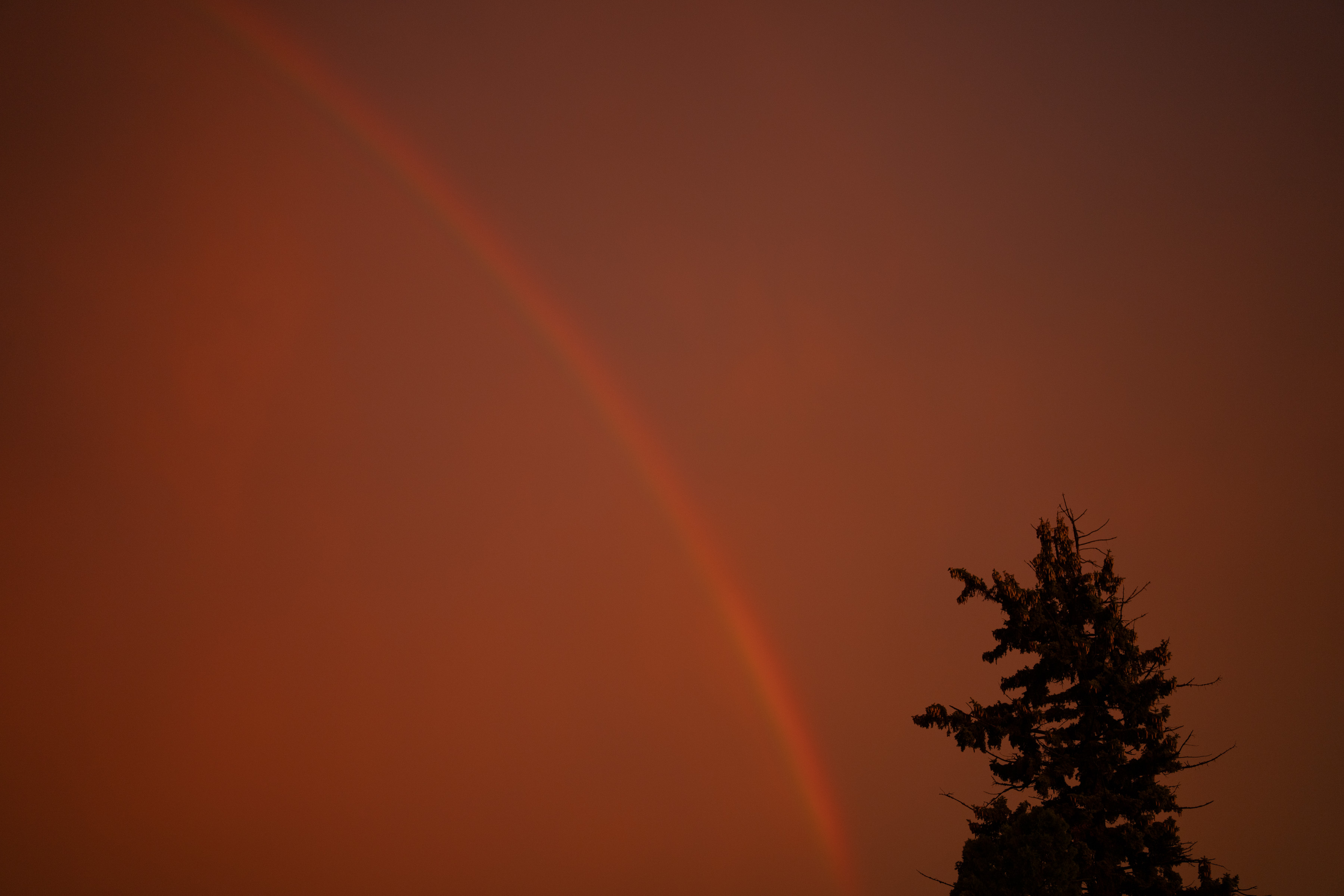 Twin Cities storm gives way to double rainbow and residents soaked in ...