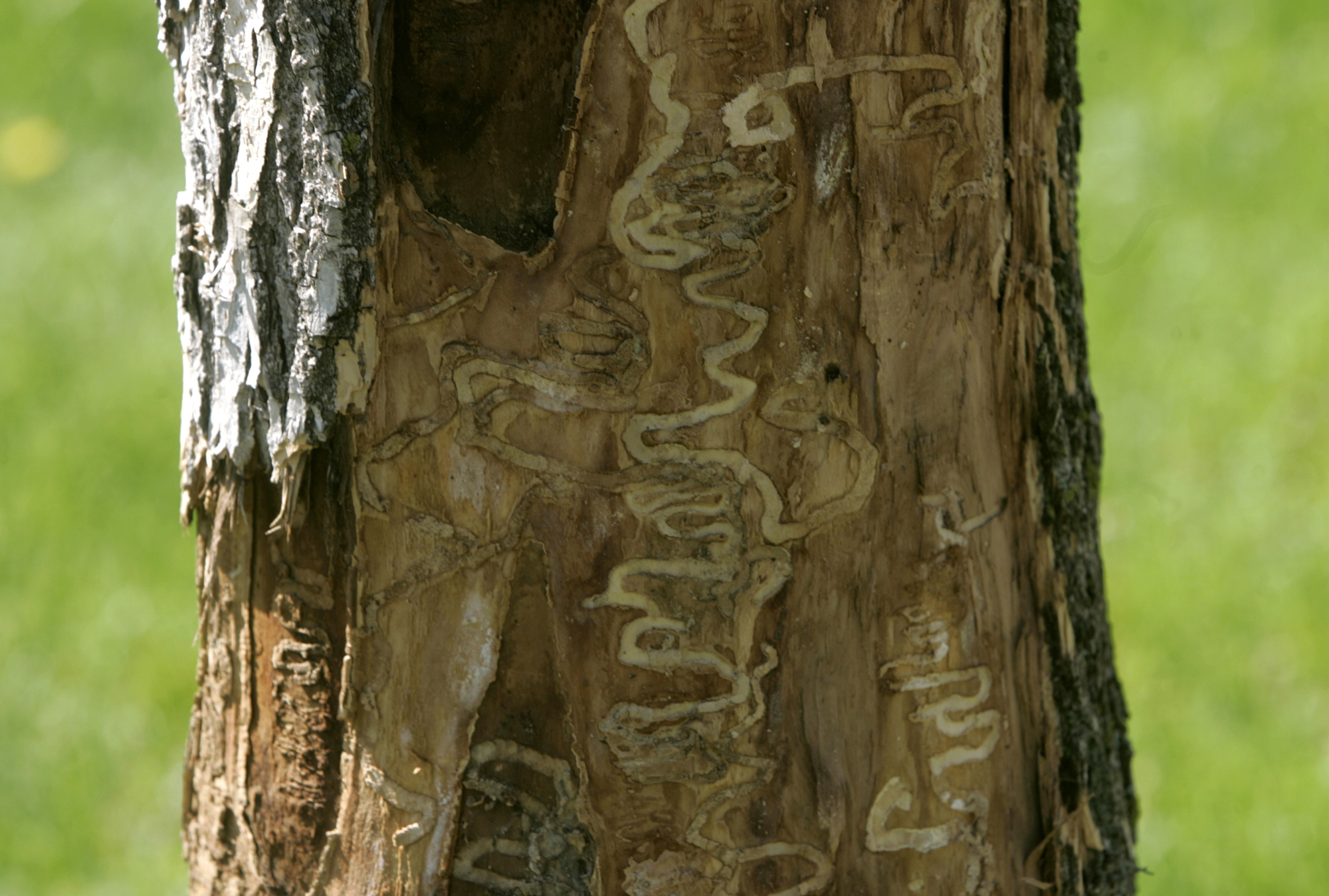 Hennepin County and Minneapolis have $18 million to help low-income ...