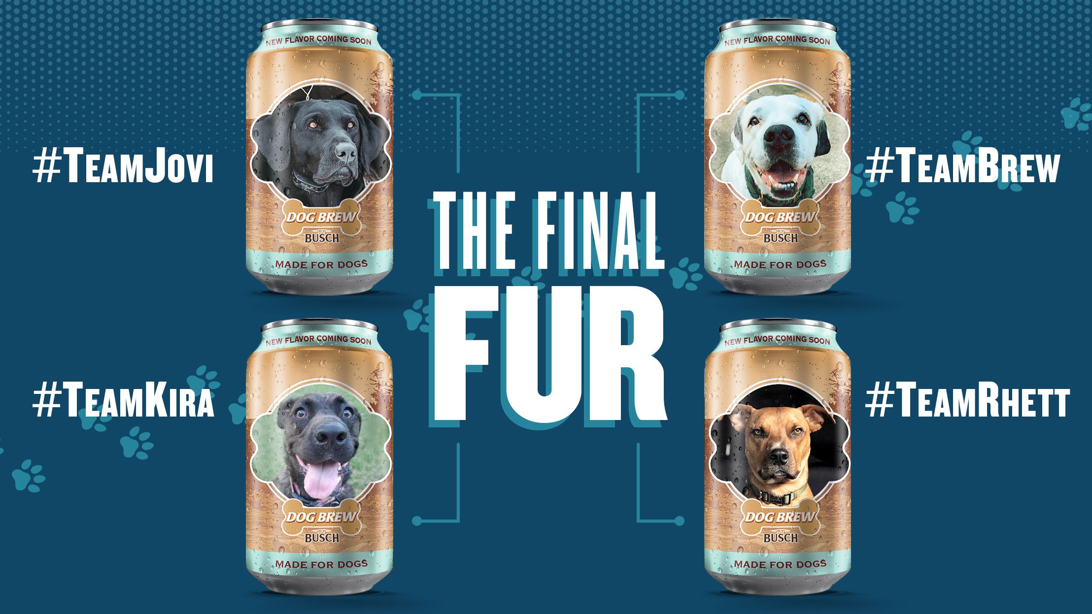Minnesota pooch in 'Final Fur' for alcohol-free Busch Dog Brew campaign