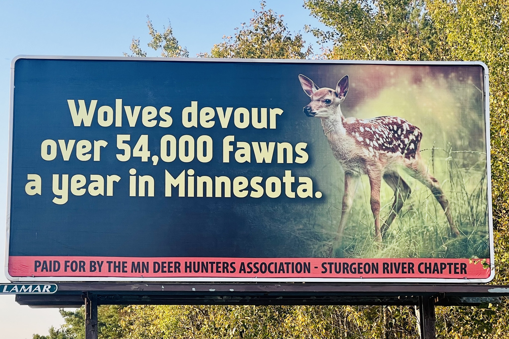 Researchers push back with data against anti-wolf billboard in northern ...