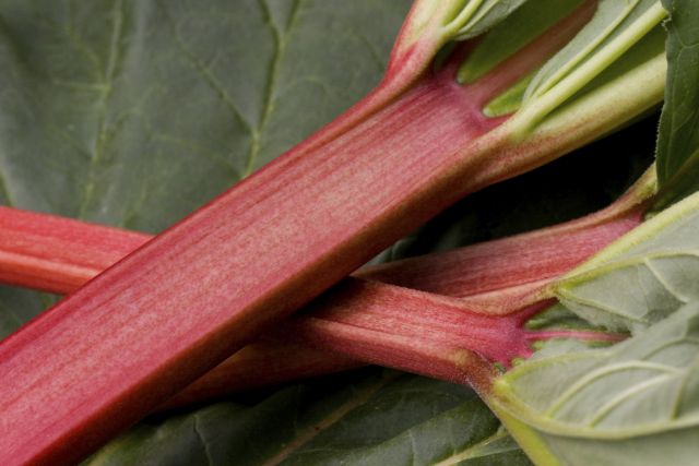 Rhubarb revisited