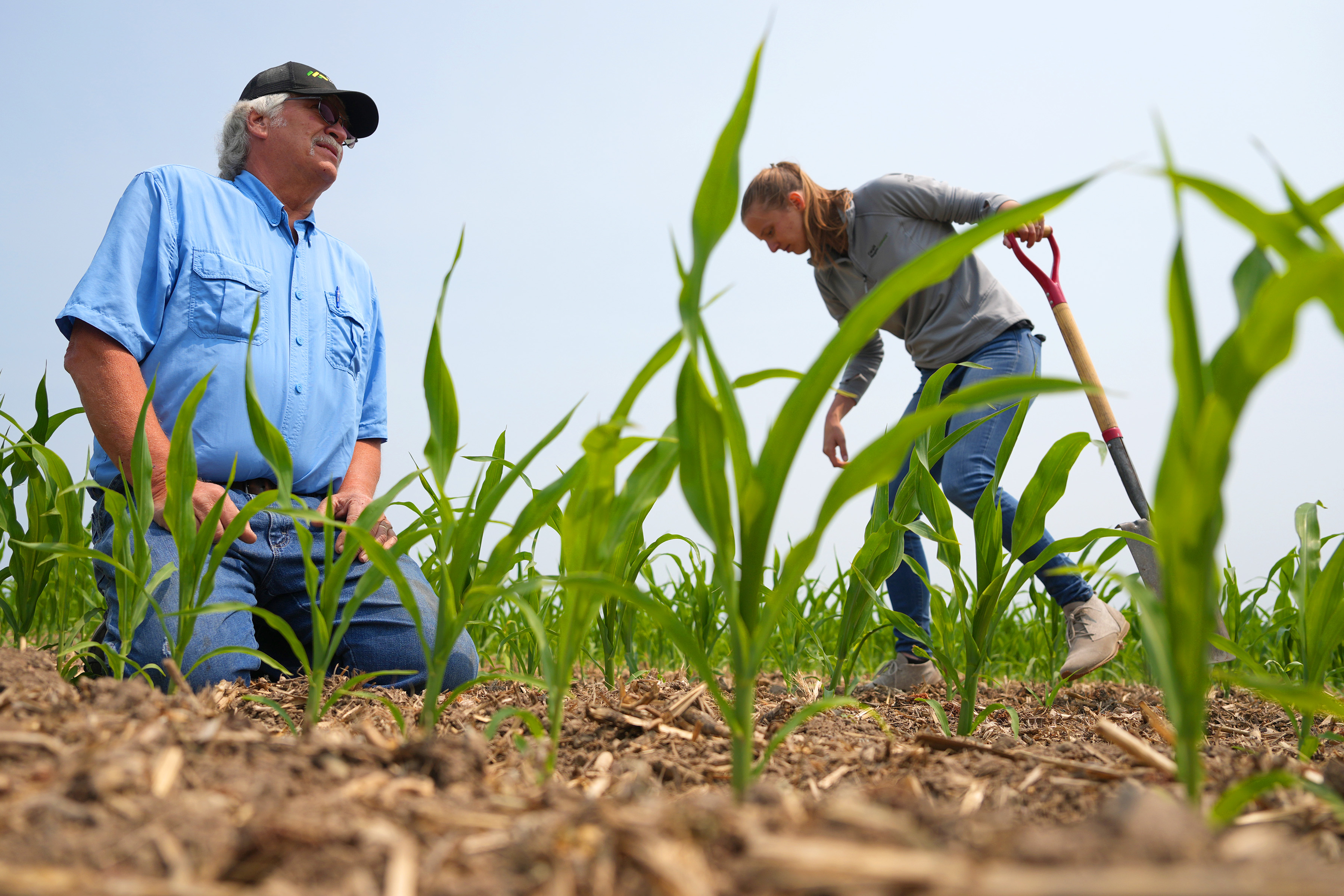 As regenerative ag grows in Minnesota, more money and regulation arrive