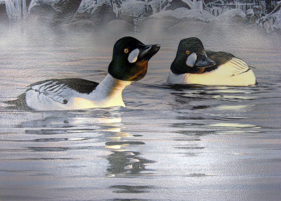 State duck stamp winner revealed