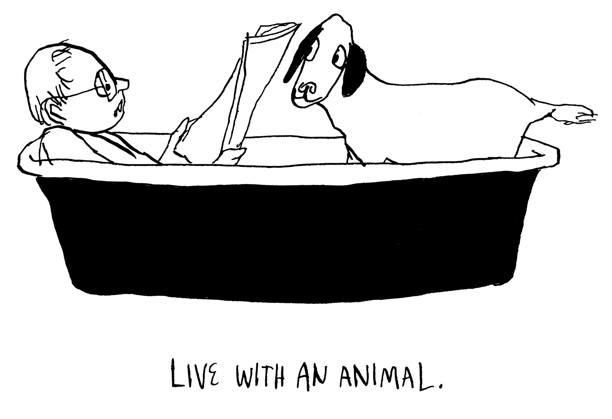 Review: 'How to Be Perfect: An Illustrated Guide,' by Ron Padgett ...