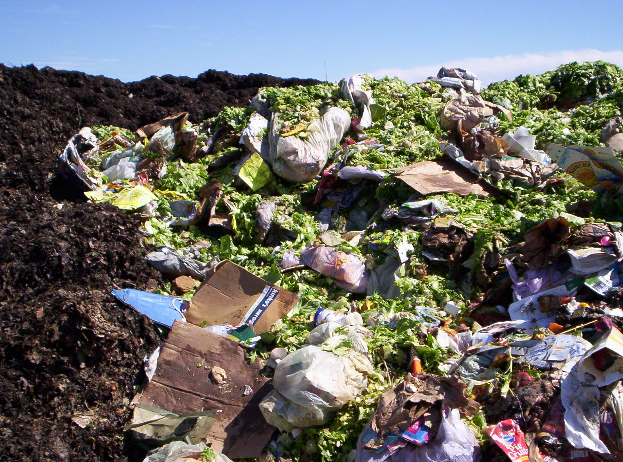 Food scrap program now available in 4 cities in eastern Twin Cities area