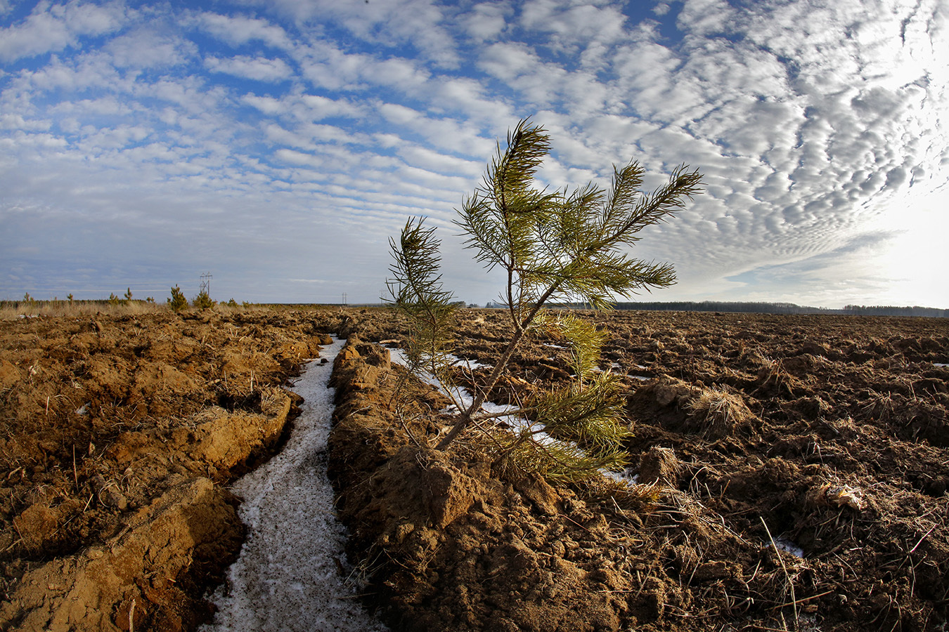 Feb. 1: Minnesota struggles to slow deforestation, protect water
