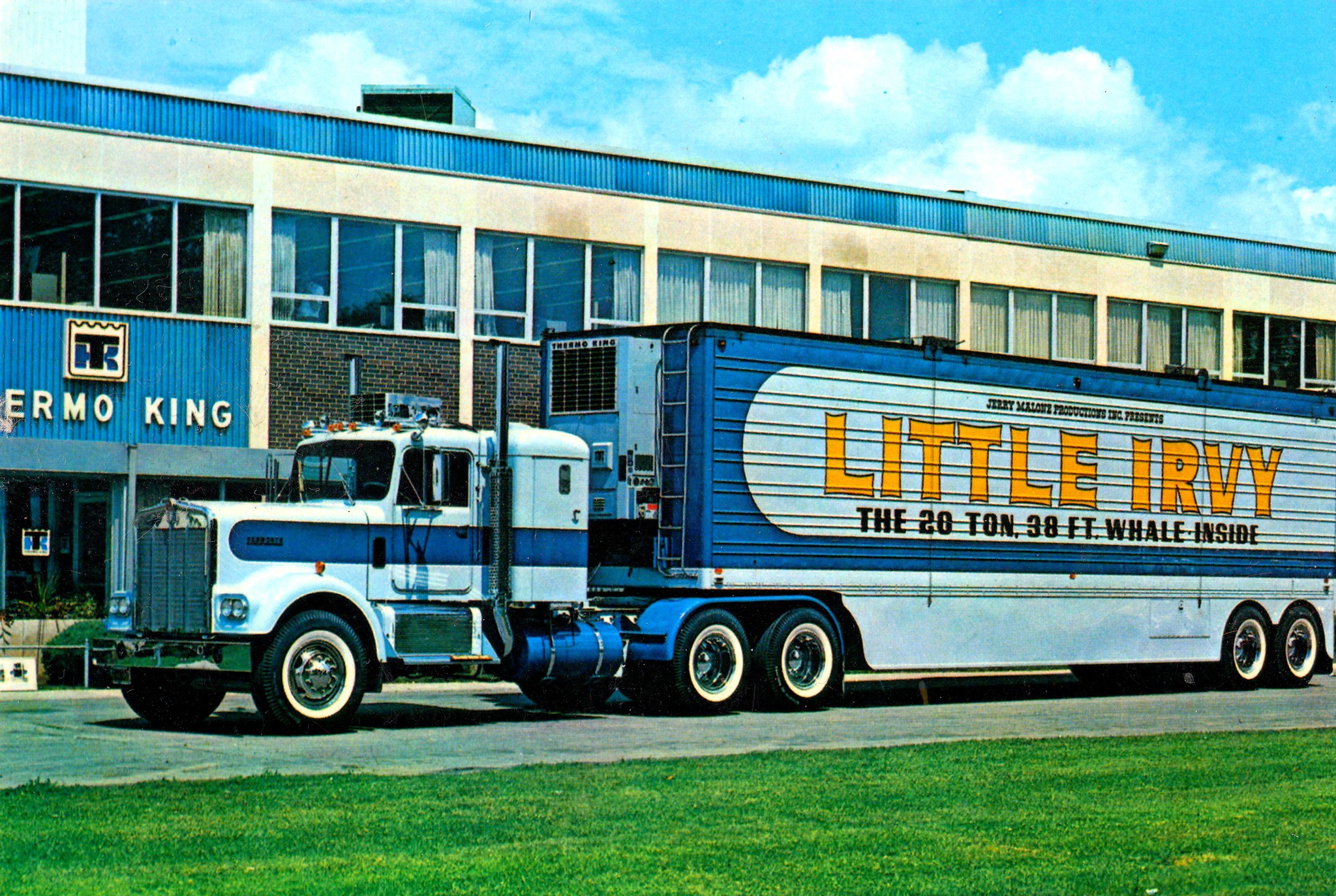What happened to Little Irvy, the traveling frozen whale that appeared ...