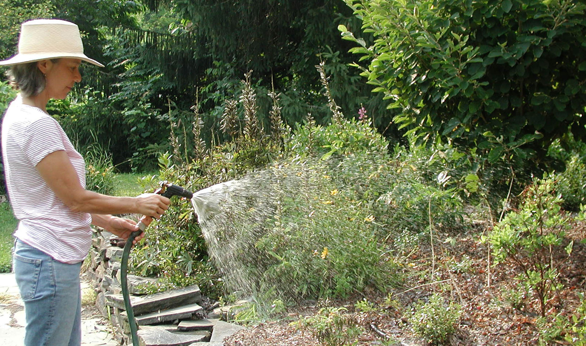 Tools to simplify hand-watering in the garden