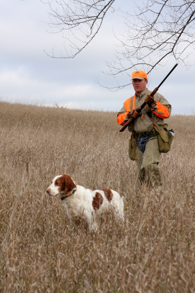 How to Approach a Dog on Point