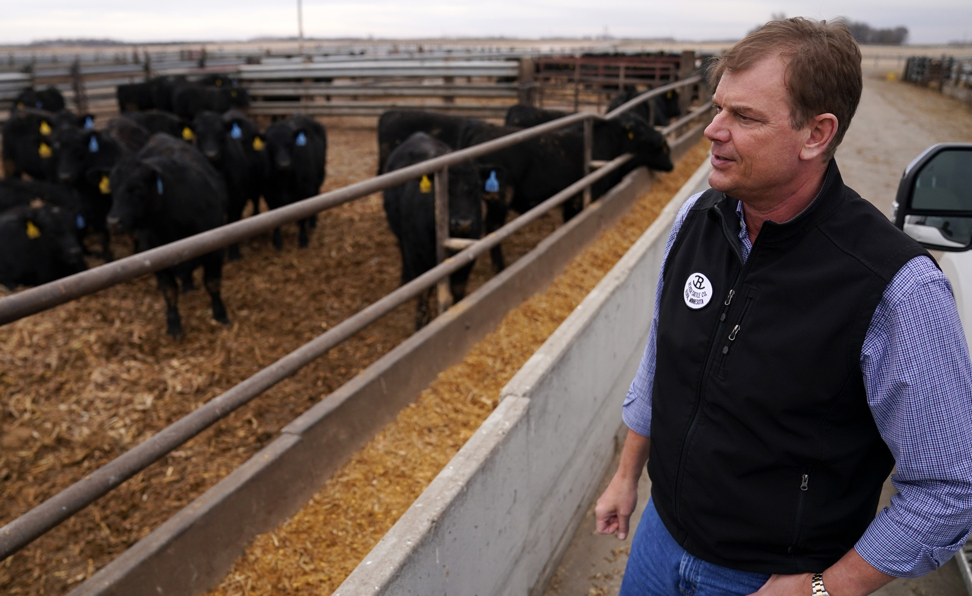 Major Minnesota cattle operation sued over scheme to hide from creditors