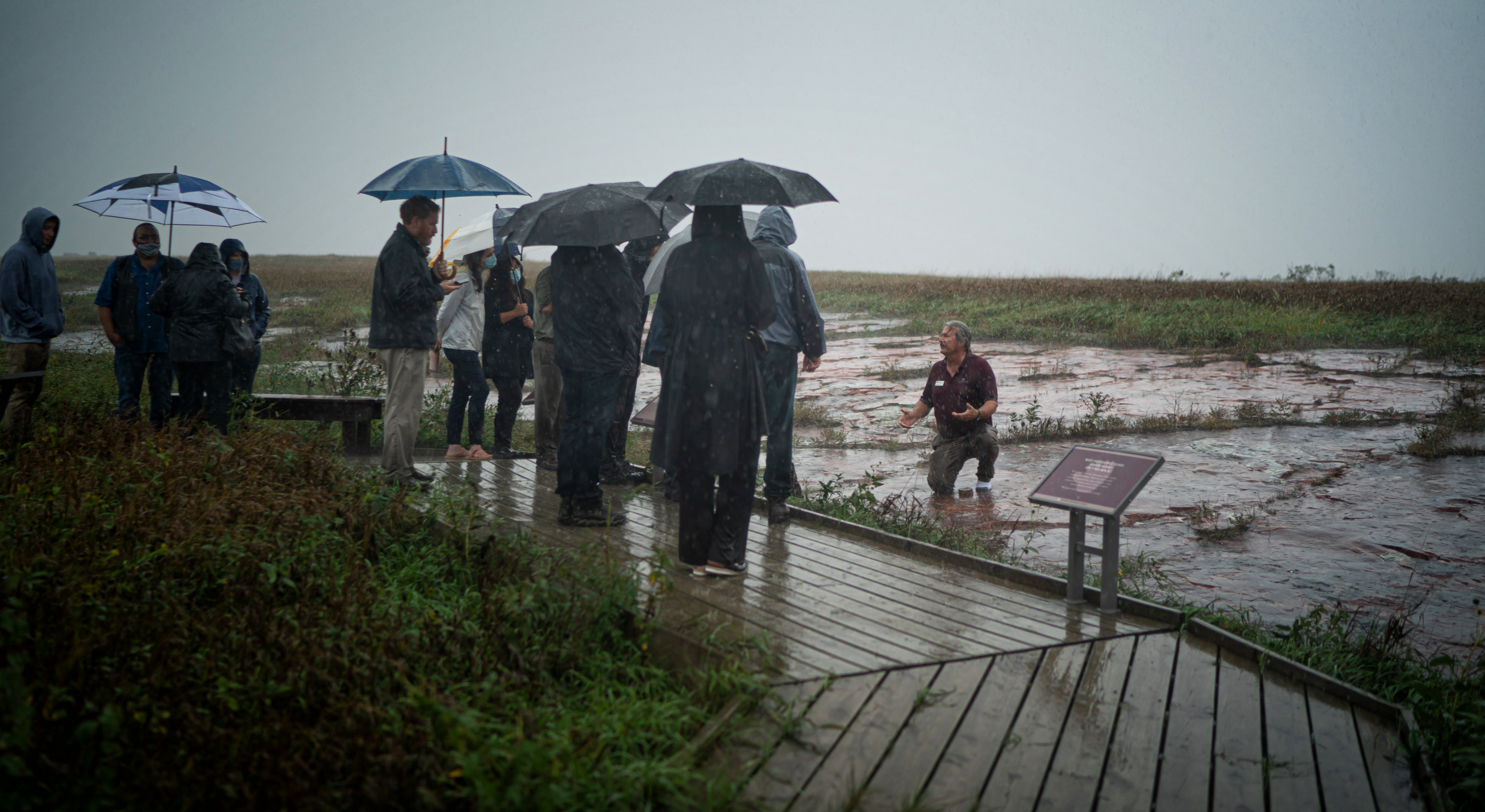 Planned Minnesota wind farm to be moved farther from Jeffers ...