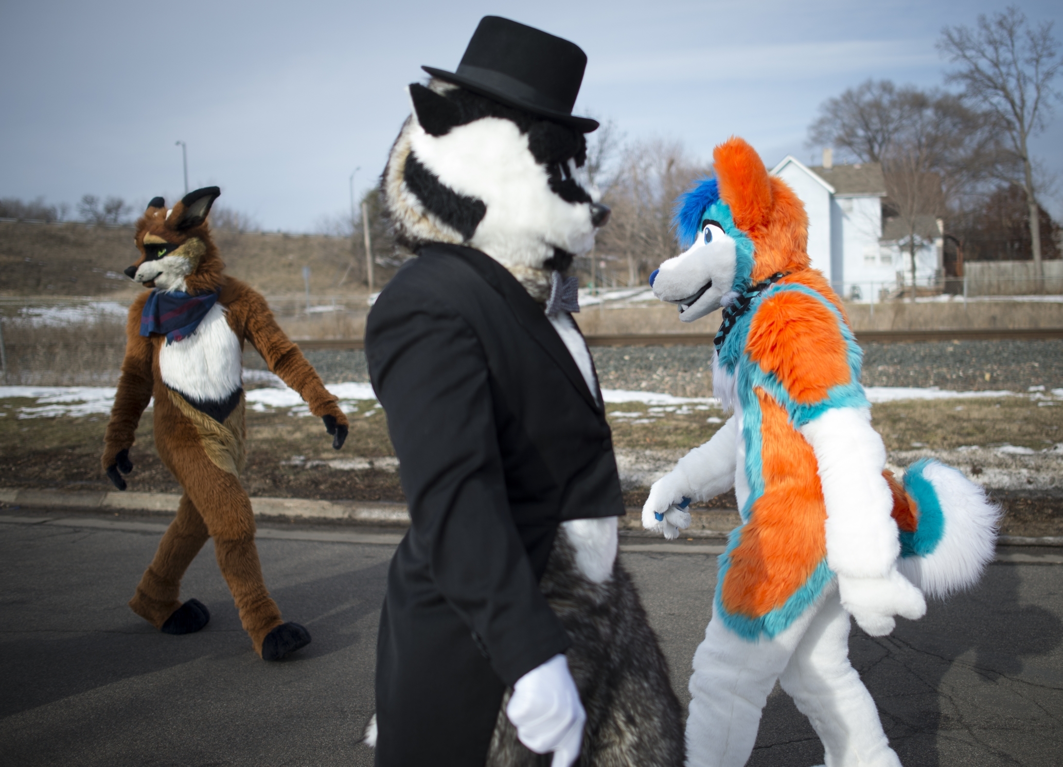 Call of the wild: Local Furries say they are misunderstood