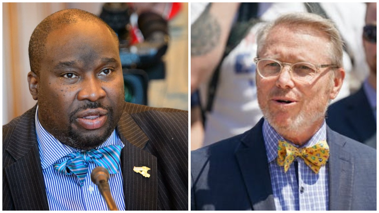 Minnesota Legislature set for a shakeup as progressive activists defeat ...