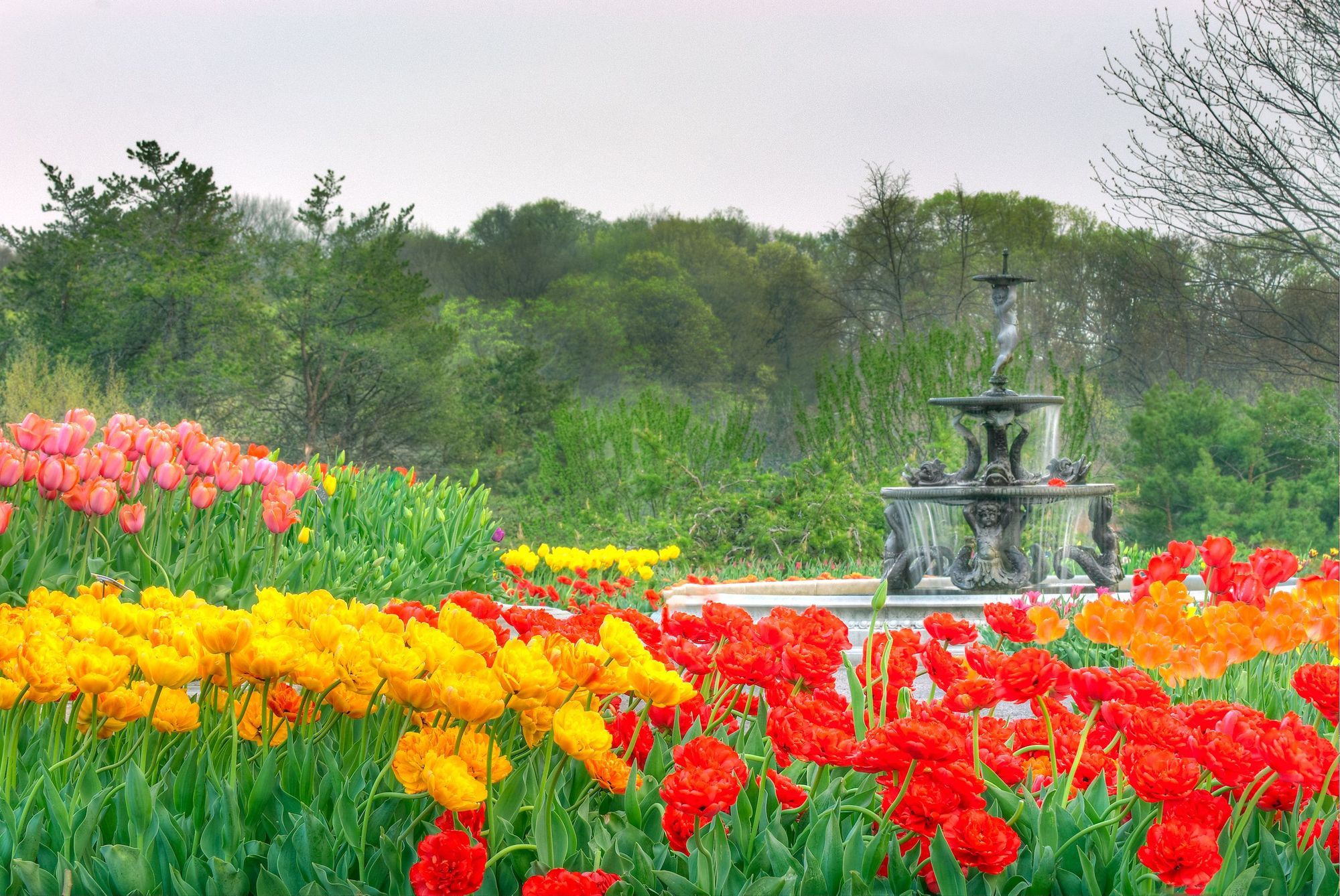 Minnesota Arboretum voted Best Botanical Garden in U.S.
