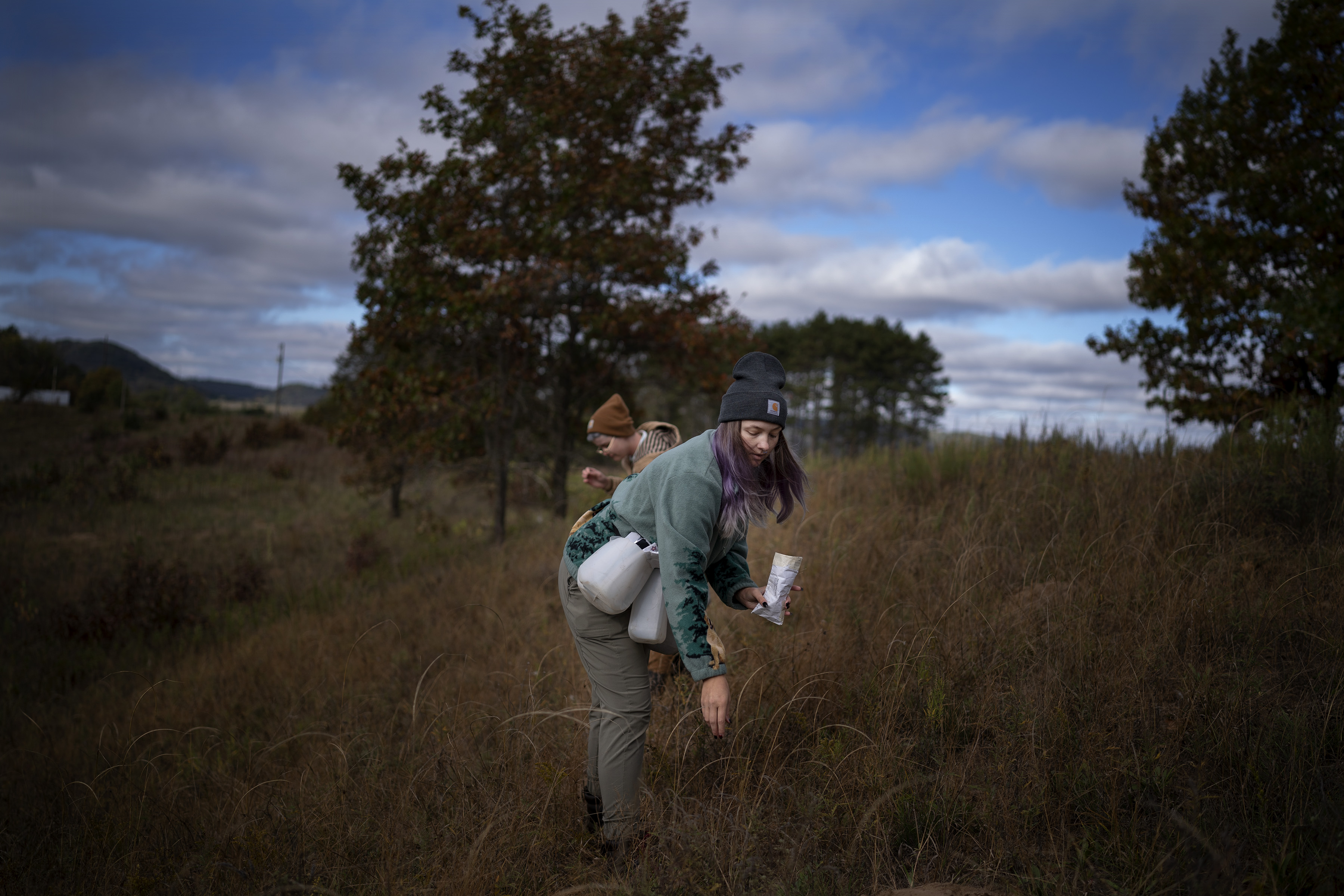 Nature Conservancy to expand protected wetlands to save Minnesota turtles