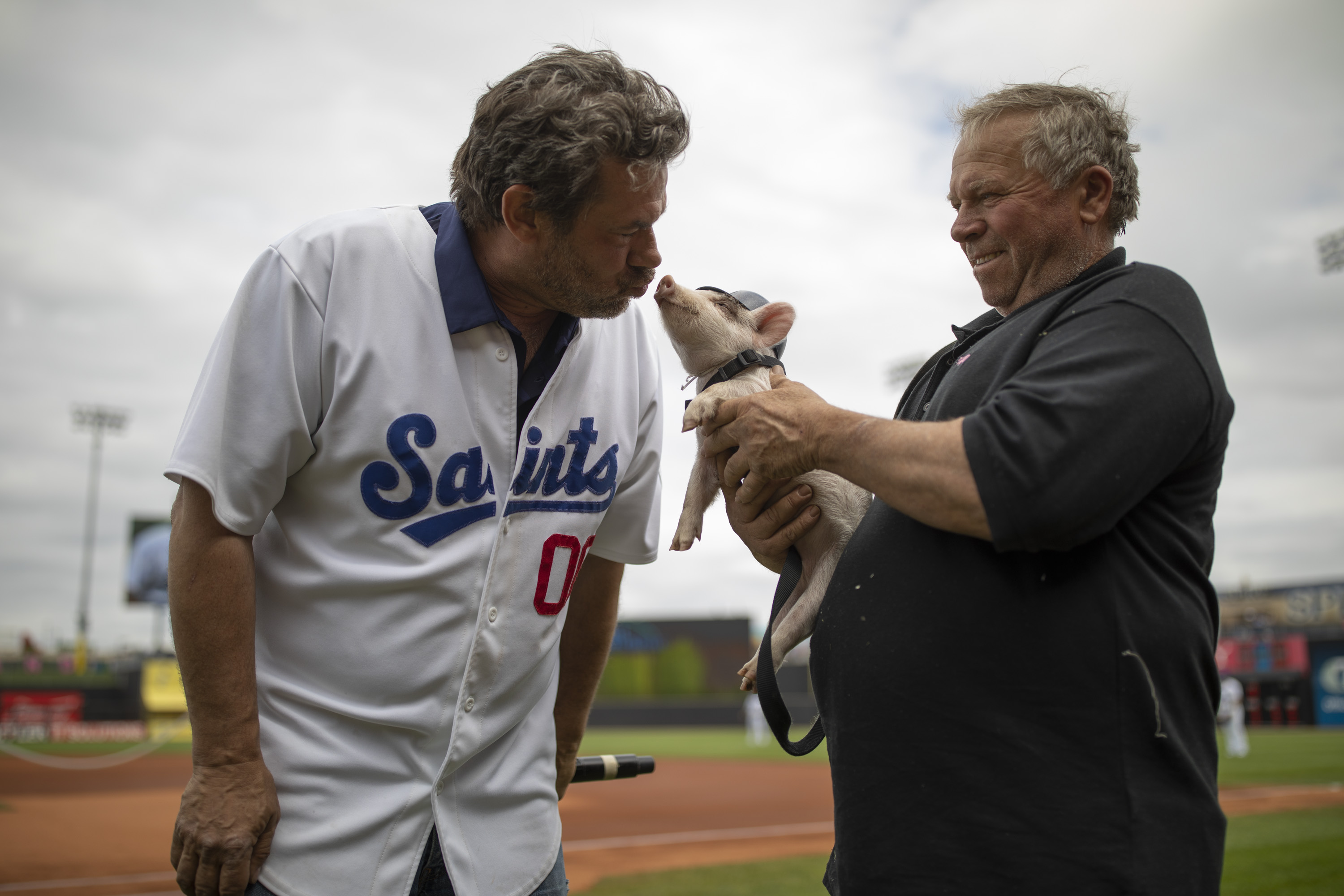 Meet the trainer of the St. Paul Saints' 'ball pig' — and help name ...