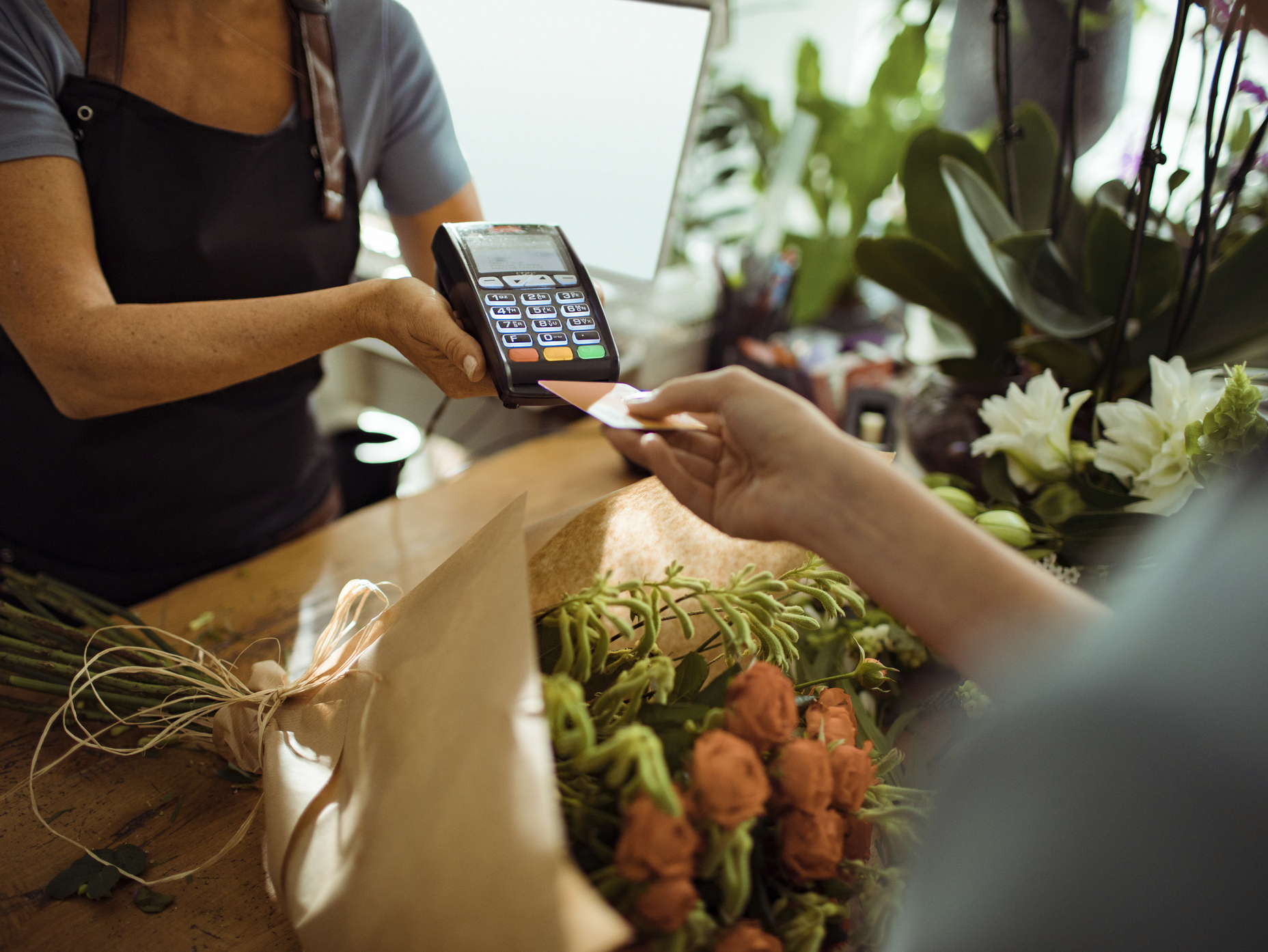 How to find the best garden plants for the best price in the Twin ...