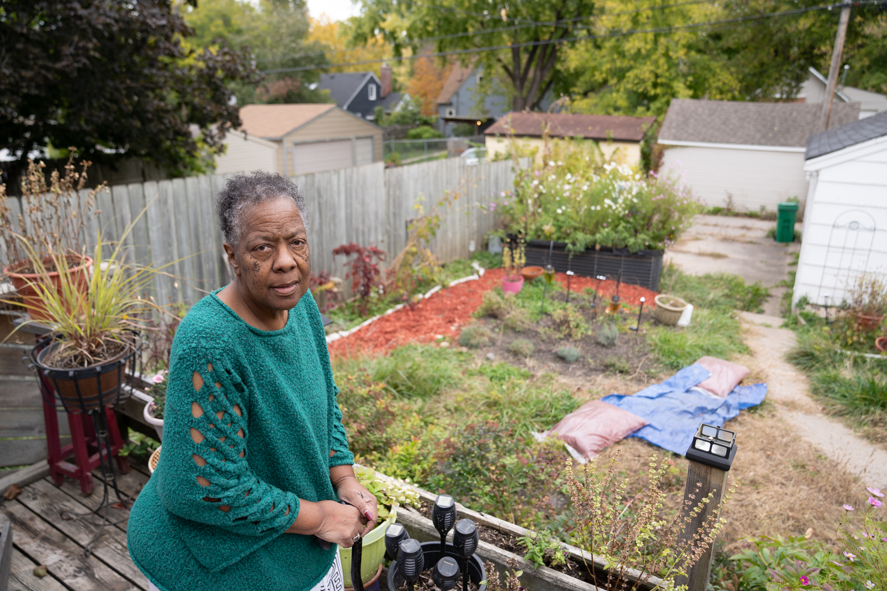 Minneapolis has $8M to help people remove ash trees, but no relief for ...